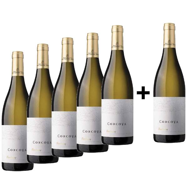 Vin alb sec Corcova Reserve Chardonnay, 0.75L, 5+1 sticle