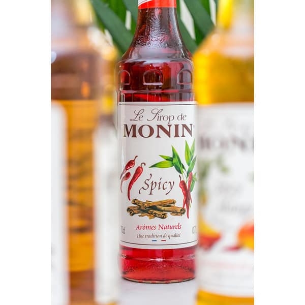 Sirop MONIN Spicy, 0.7l